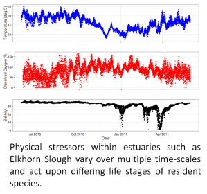 Multiple Environmental Stressors | marine global change ecology