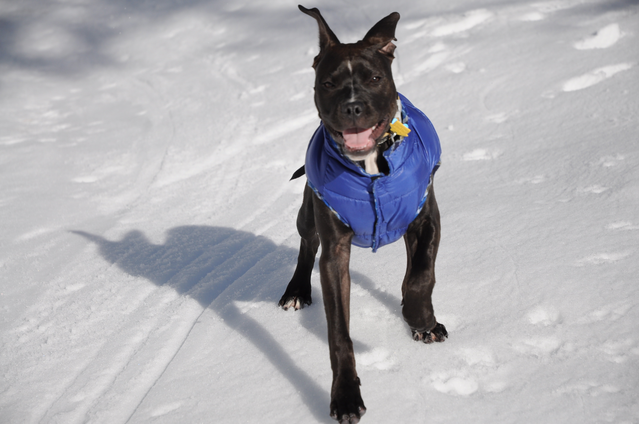 Stacked time series in R | marine global change ecology